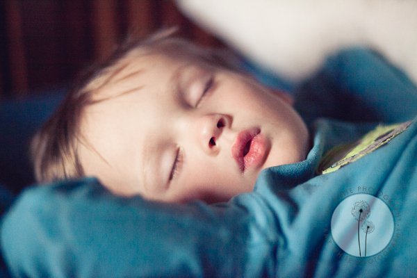 Sleepy Transitions – The White House